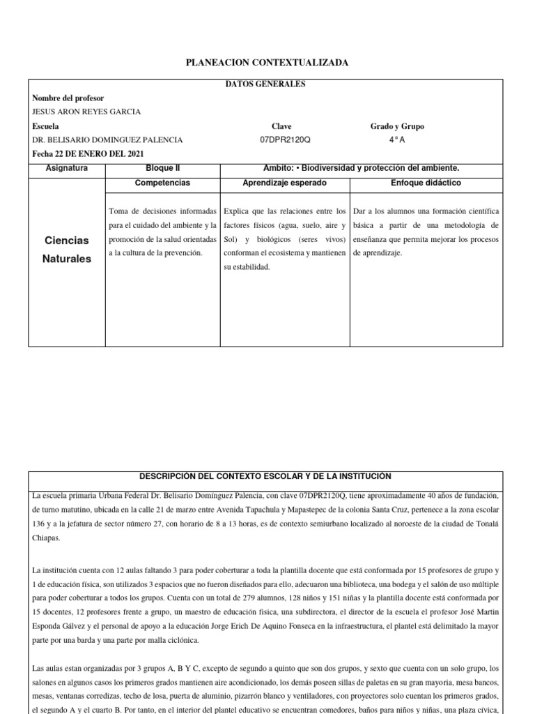PLANEACION CONTEXTUALIZADA | PDF | Evaluación | Ecosistema
