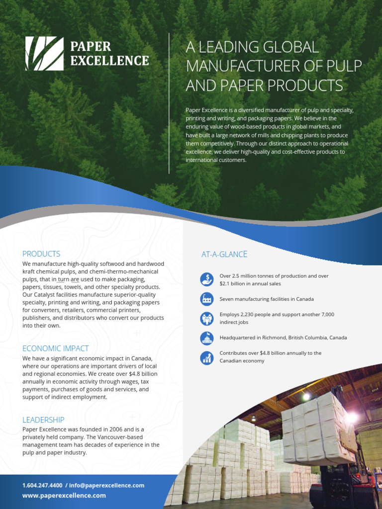Global Pulp & Paper Manufacturer Overview | PDF