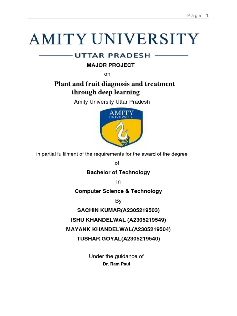 Major Project Report Real | PDF