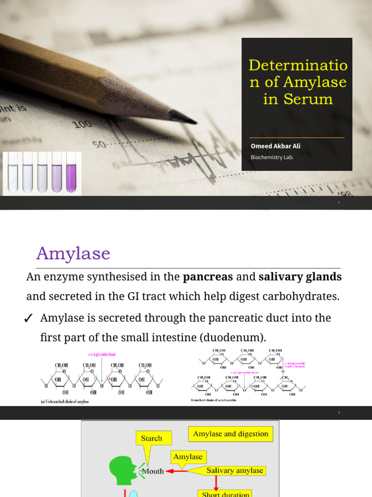 Lab 1 Lec - Amylase | PDF | Pancreas | Gastroenterology
