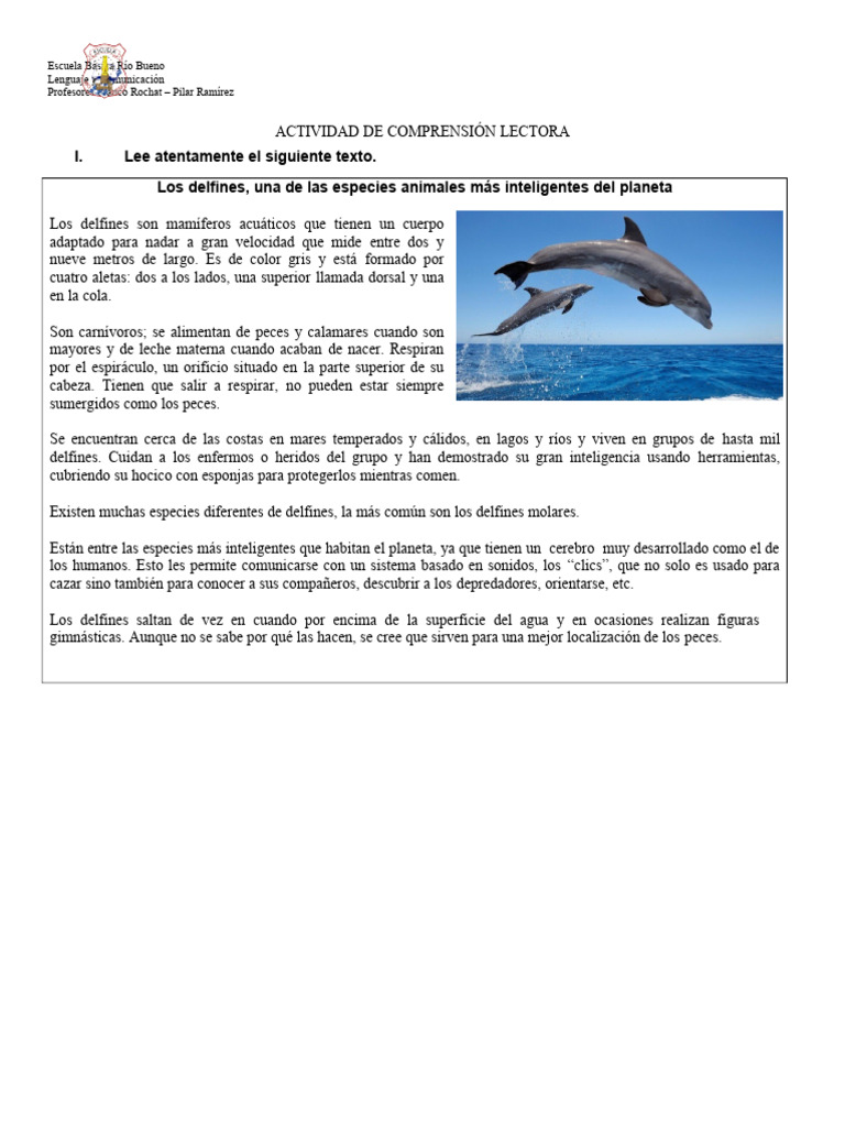 Comprensión Lectora: Delfines Inteligentes | PDF | Organismos