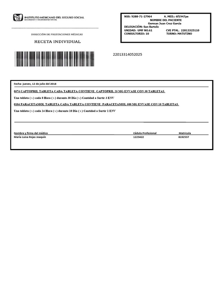 Receta IMSS en Blanco.docx | PDF