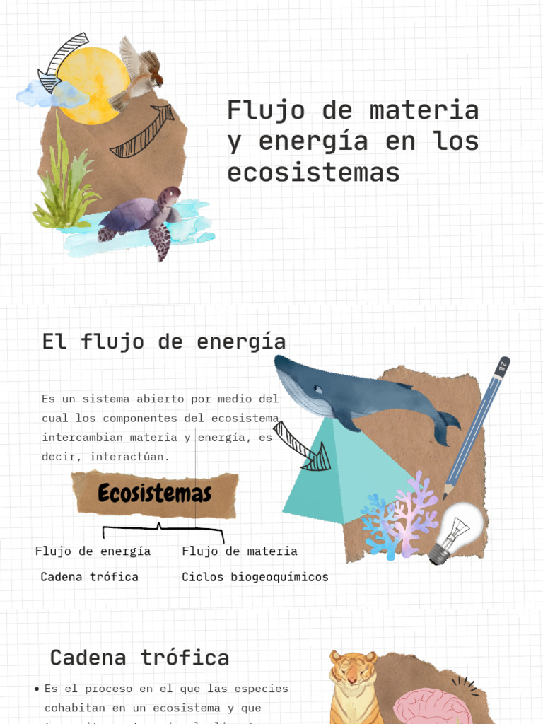 Energy Transfer in An Ecosystem Science Presentation in White Light ...