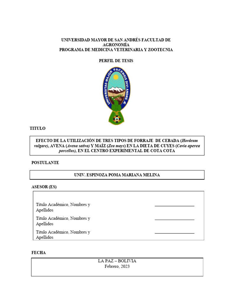 Mmep Ahora Si | PDF