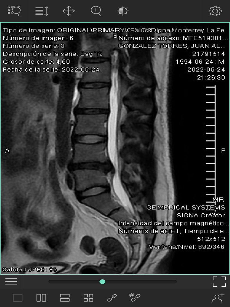 Synapse Mobility | PDF