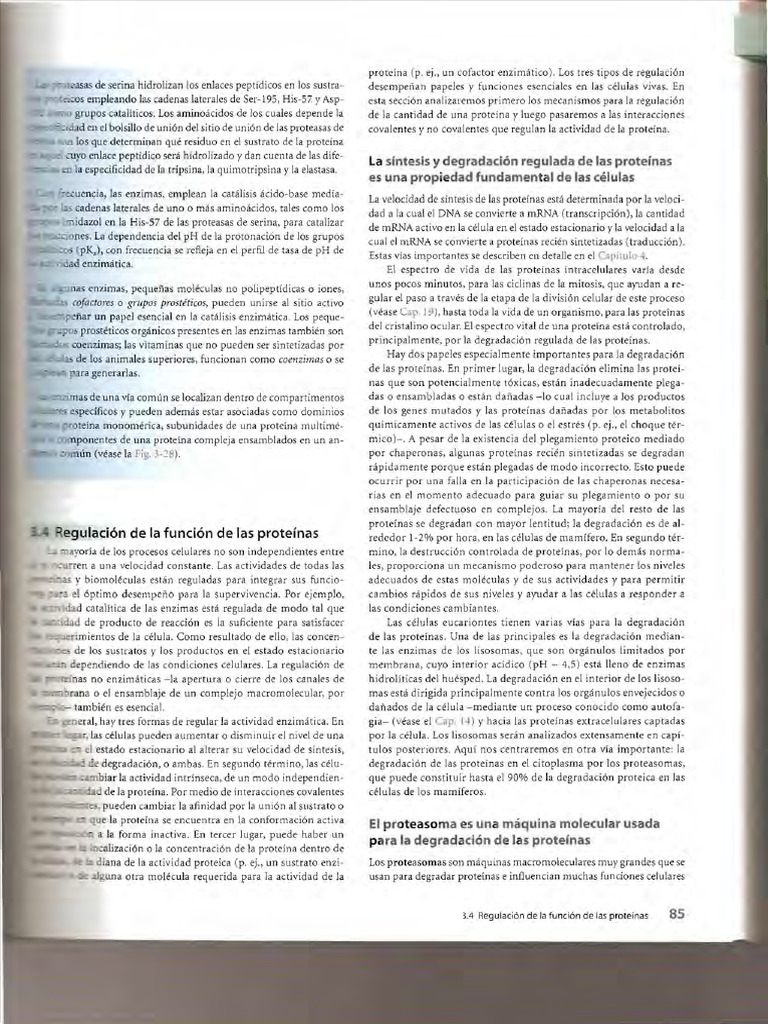 Traduccion Lodish 2016 | PDF | Ubiquitina | Proteínas