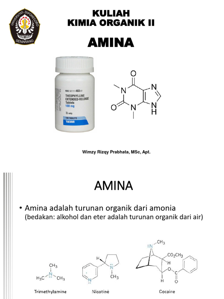 1 - Amina 2022-23 | PDF
