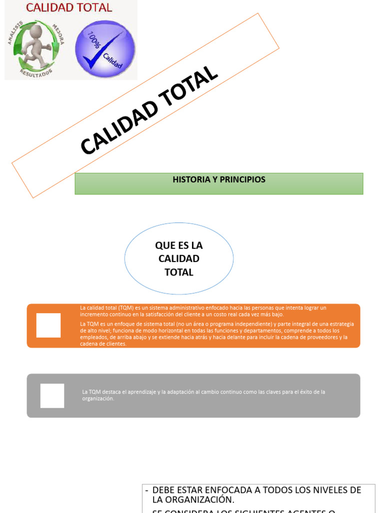Calidad Total Historia y Principios | PDF | Calidad (comercial) | Producción y fabricación