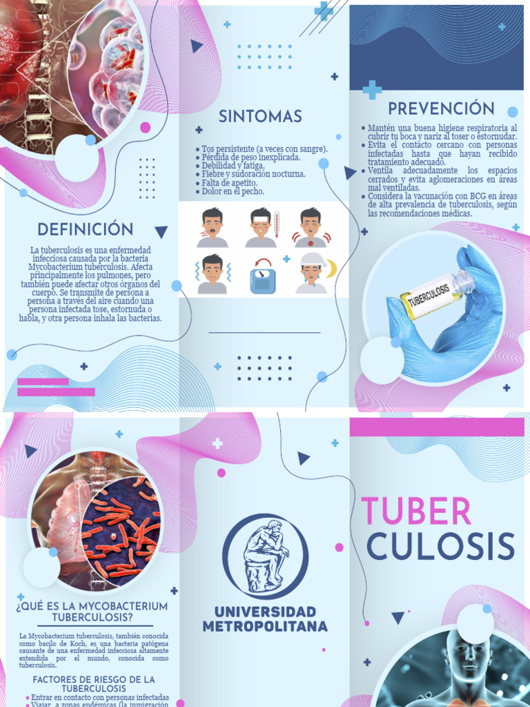 Folleto Tuberculosis | PDF | Tuberculosis | Enfermedades y trastornos