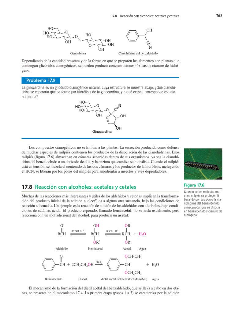 Formación de Acetales y Cetales | PDF | Cetona | Ácido