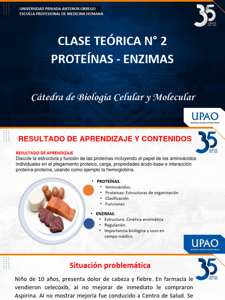 Semana 2 Proteinas Enzimas 2023-20 | PDF