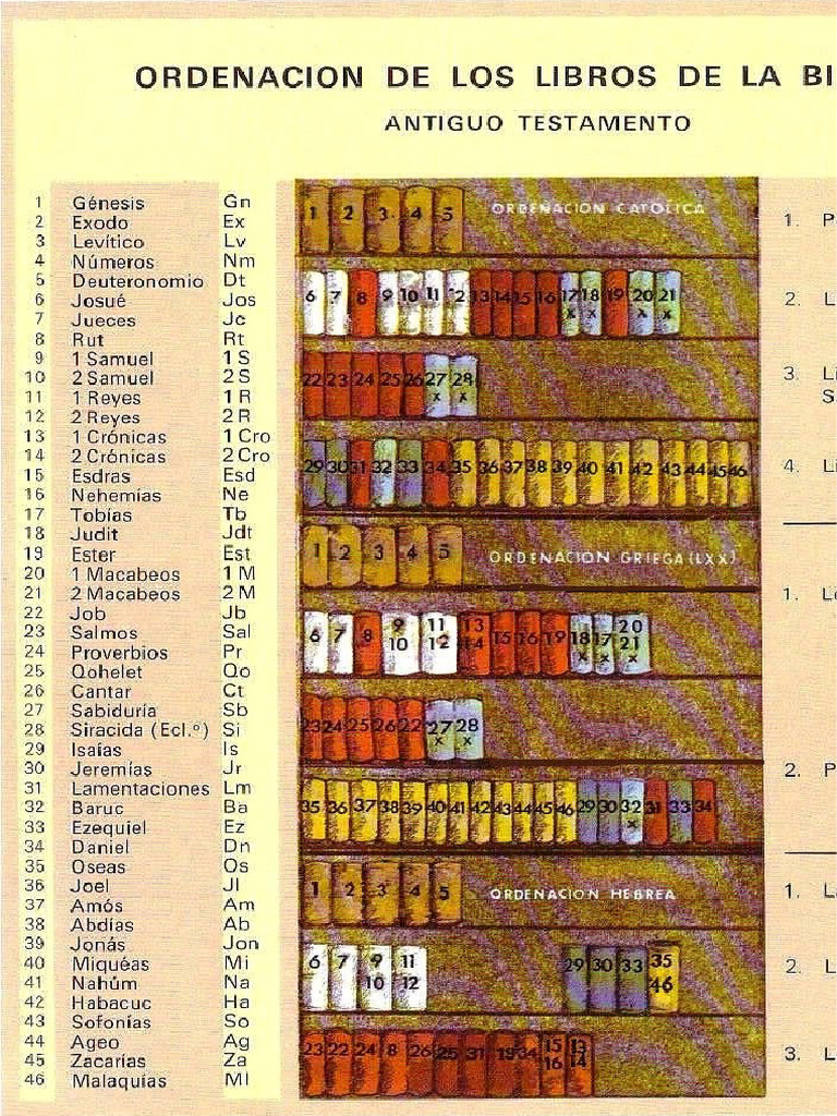 At y NT Biblia Catolica | PDF