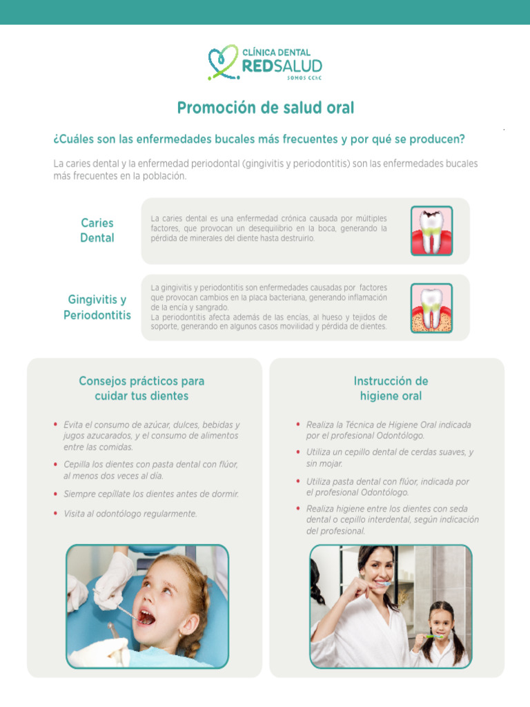 Habitos Saludables Salud Bucal | PDF