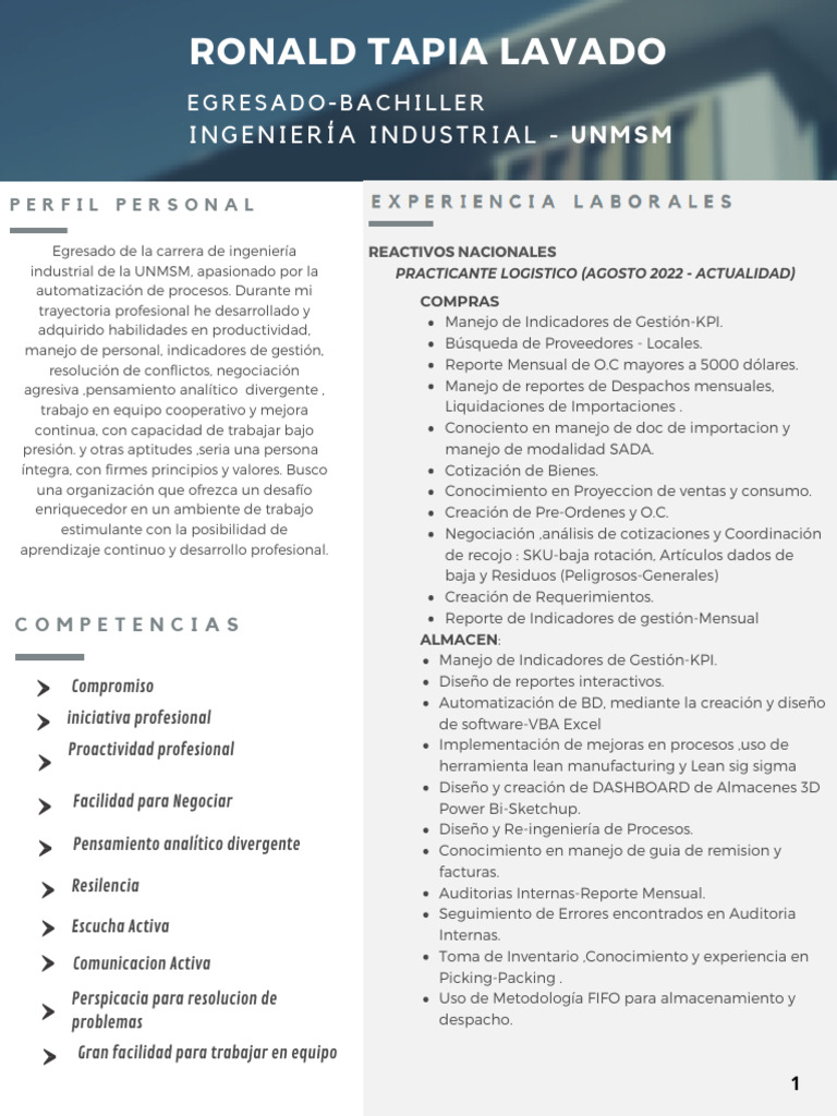 Cv-Ronald Tapia | PDF