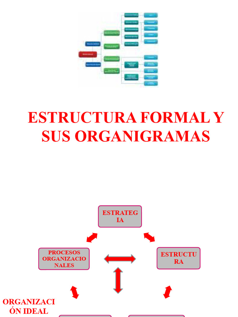 Estructura Formal Y Sus Organigramas | PDF | Business
