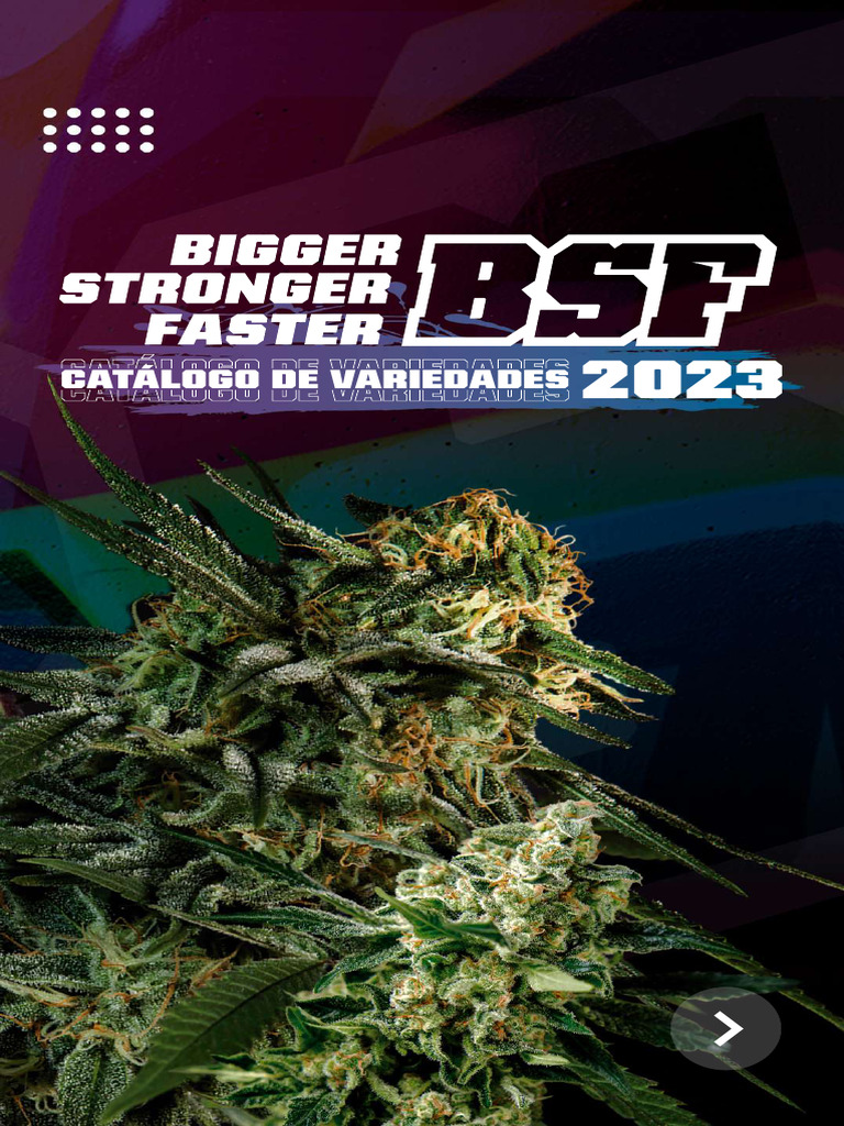 Catalogo BSF | PDF