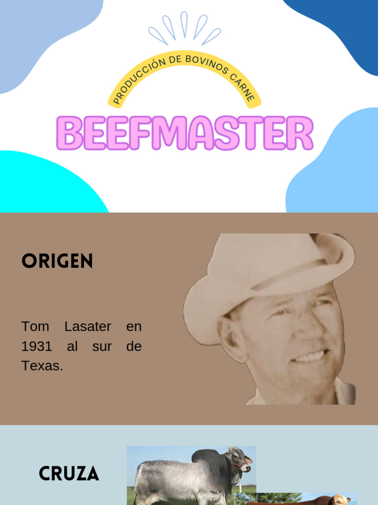 Beefmaster Fianl | PDF