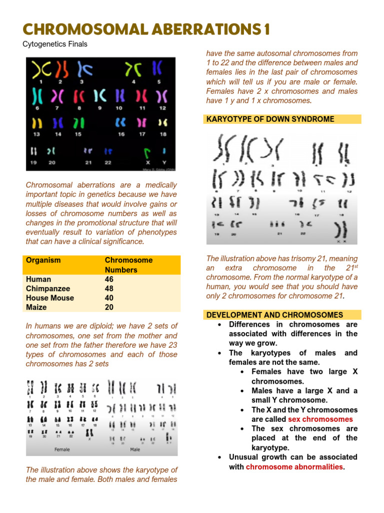 Chromosomal Aberrations Pdf Meiosis Ploidy