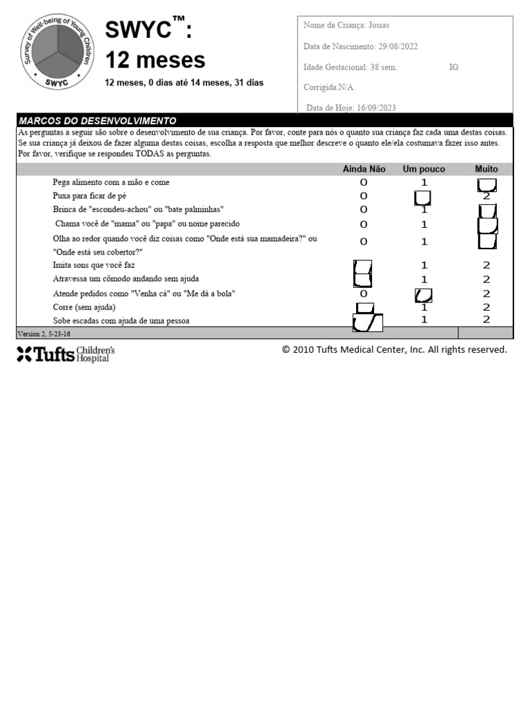 Questionário SWYC (2) | PDF