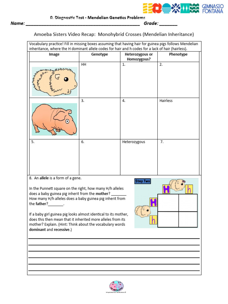 Mendelian Genetics Problems | PDF