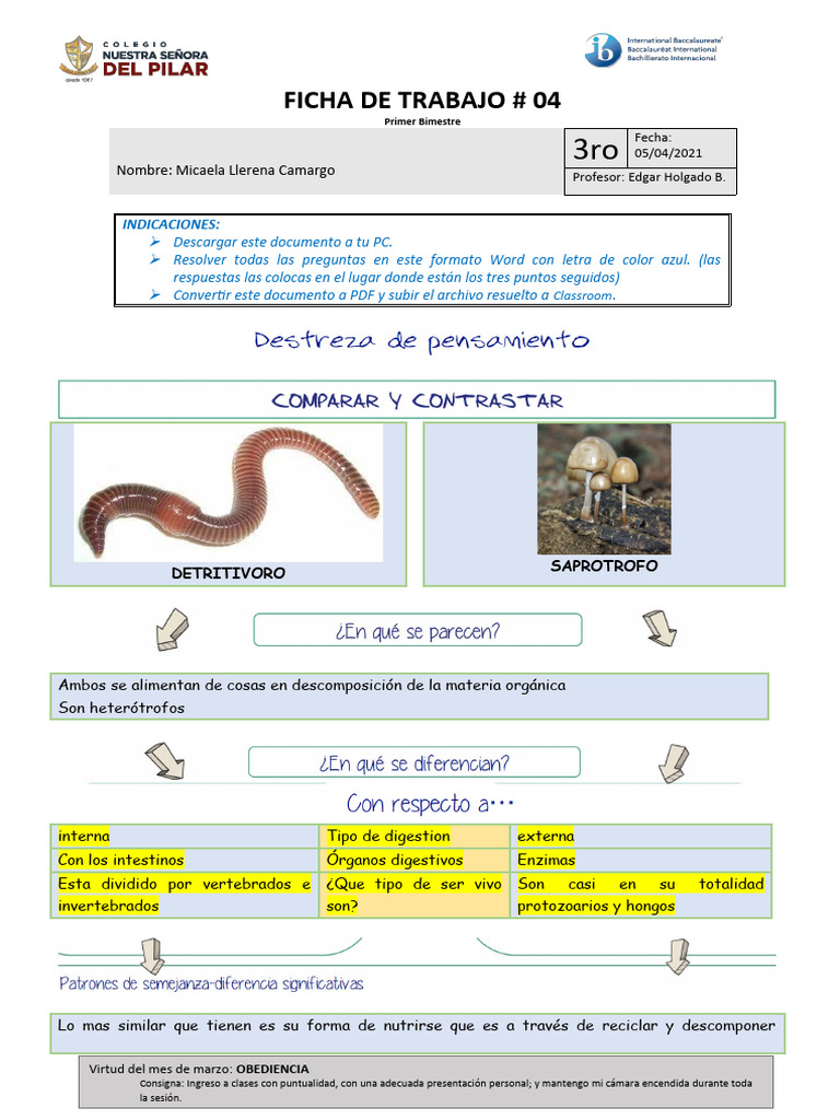 1°BIM-Ficha #04 | PDF