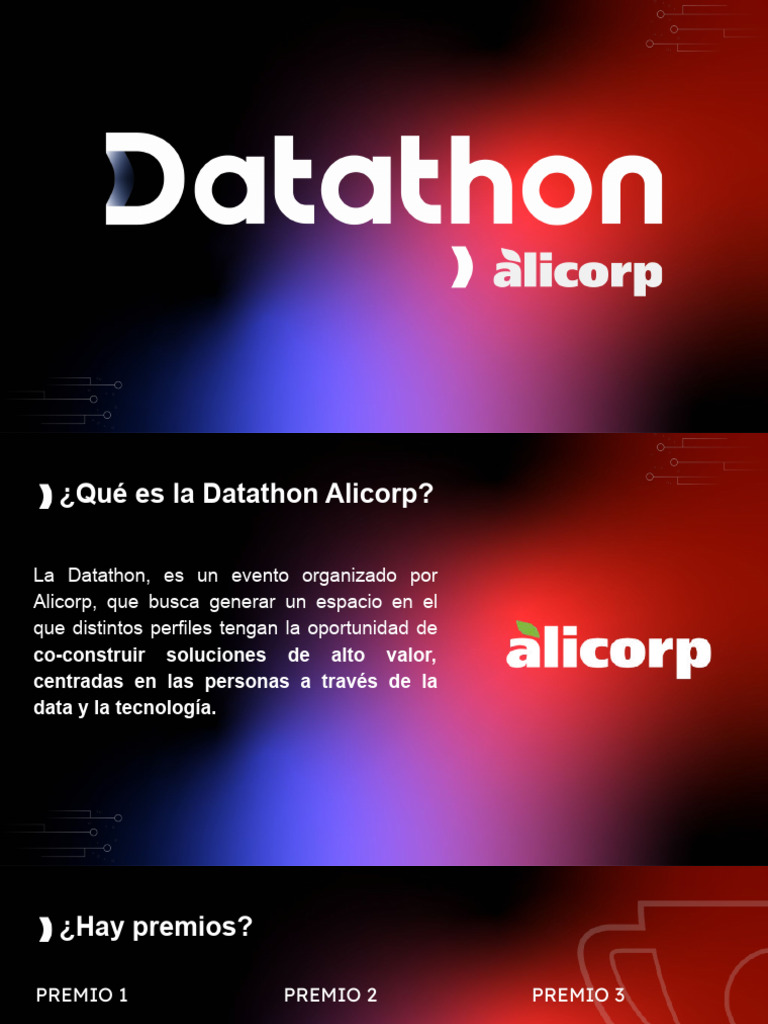 Datathon Presentacion | PDF