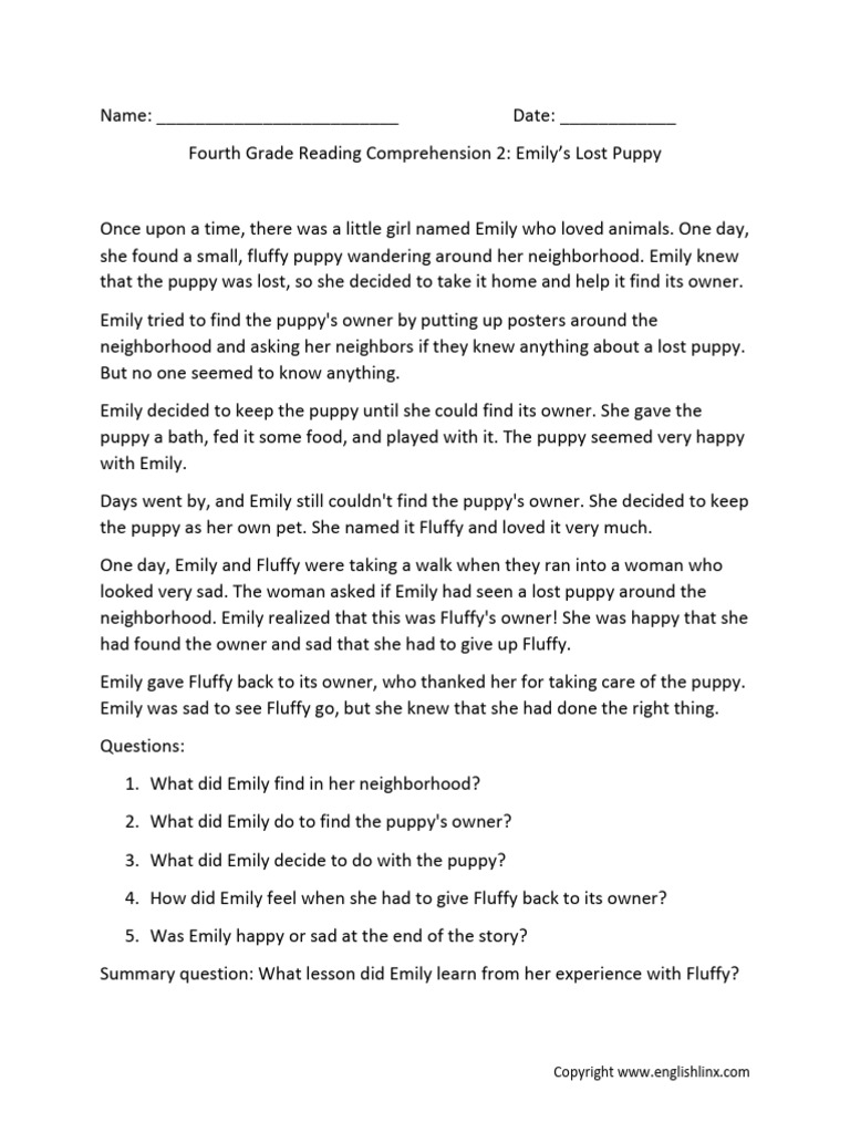 Reading Comprehension Grade 4 Emily Lost Puppy 2 | PDF