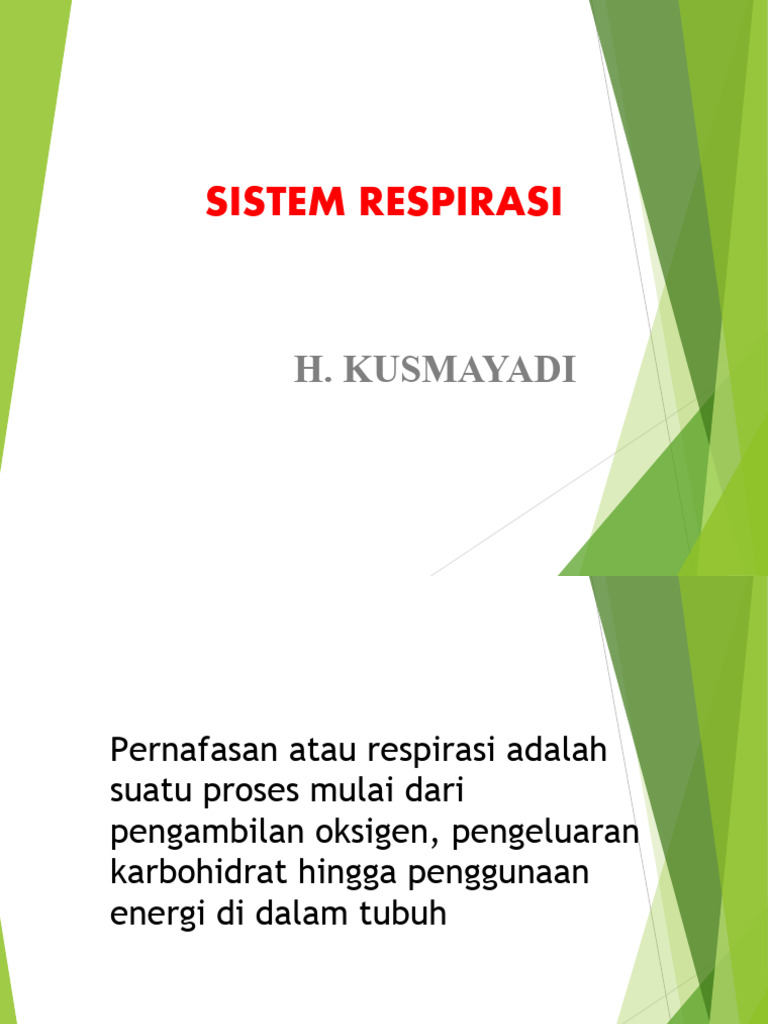 Sistem Respirasi H. Kus | PDF