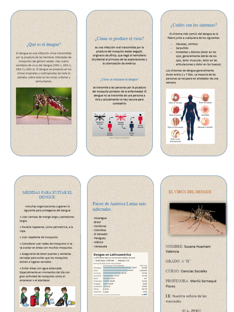 Triptico Del Dengue | PDF