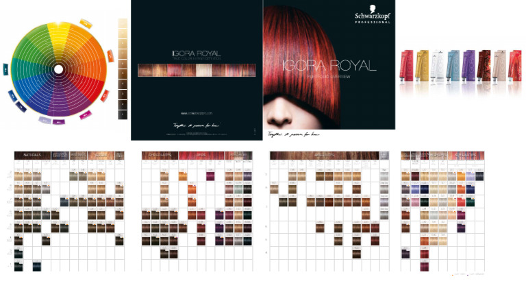 Carta de Color Igora Royal | PDF