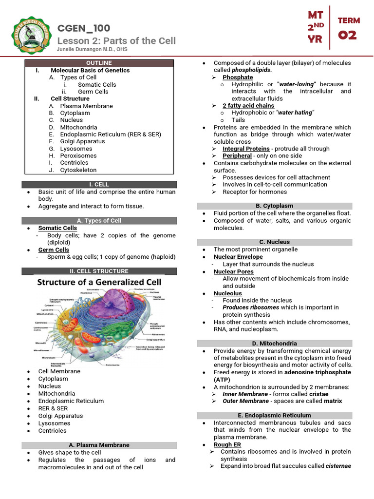 CGEN - 100 - #2-Parts of A Cell | PDF | Endoplasmic Reticulum | Cell ...