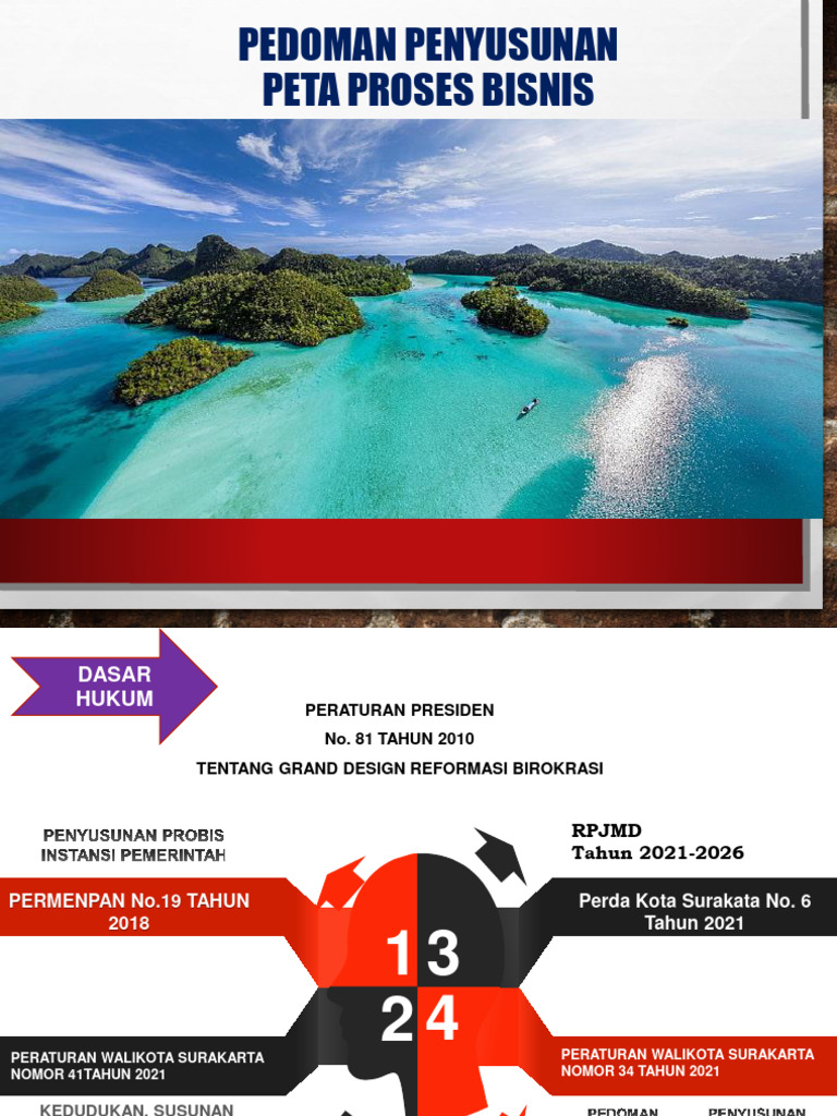 Pedoman Penyusunan Sop Dan Probis New | PDF