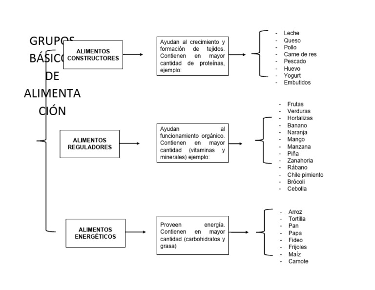 Grupos Basicos de Alimentacion | Descargar gratis PDF | Alimentos | Vegetales