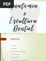 2 Morfologia Dos Dentes Permanentes | PDF | Dente humano | Áreas da ...