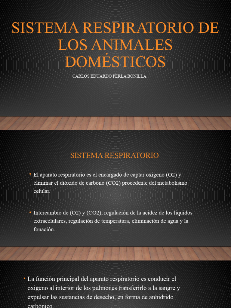 Sistema Respiratorio en Animales Domésticos | PDF | Sistema ...