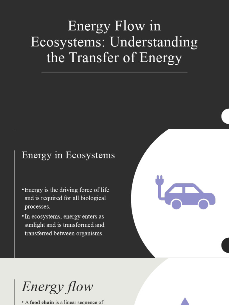 Energy Flow in Ecosystems | PDF | Food Web | Ecosystem