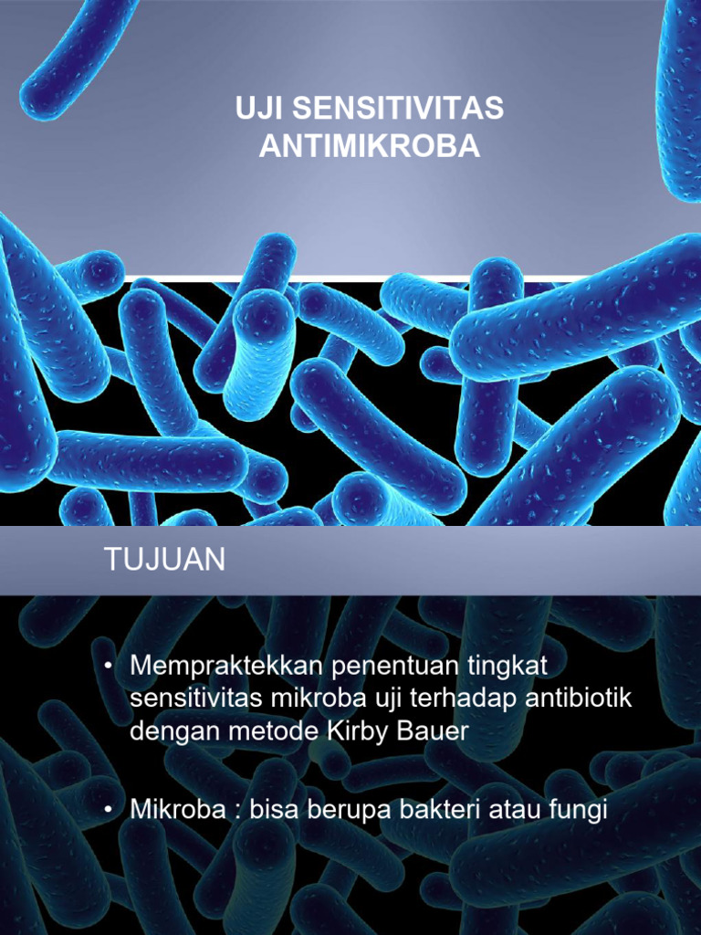 p5. Uji Sensitivitas Antimikroba | PDF | Griya & Taman | Kesehatan Holistik