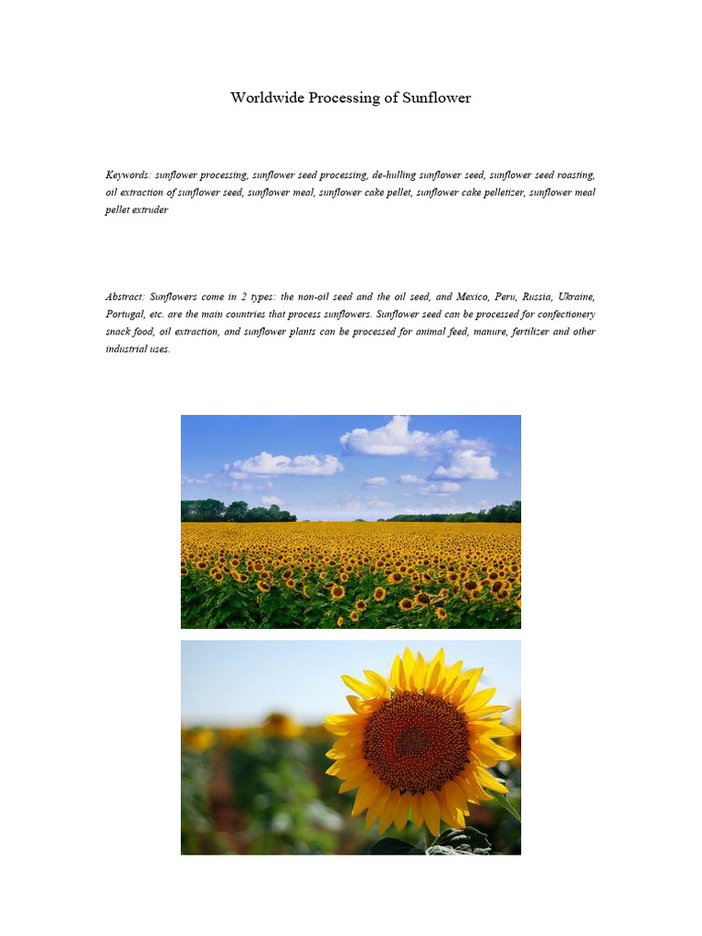 Sunflower Process | Download Free PDF | Oil | Vegetable Oil