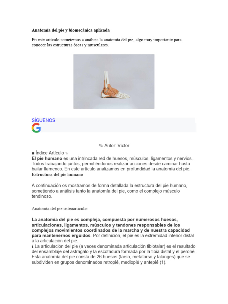 Anatomía y Biomecánica del Pie | PDF | Pie | Tobillo