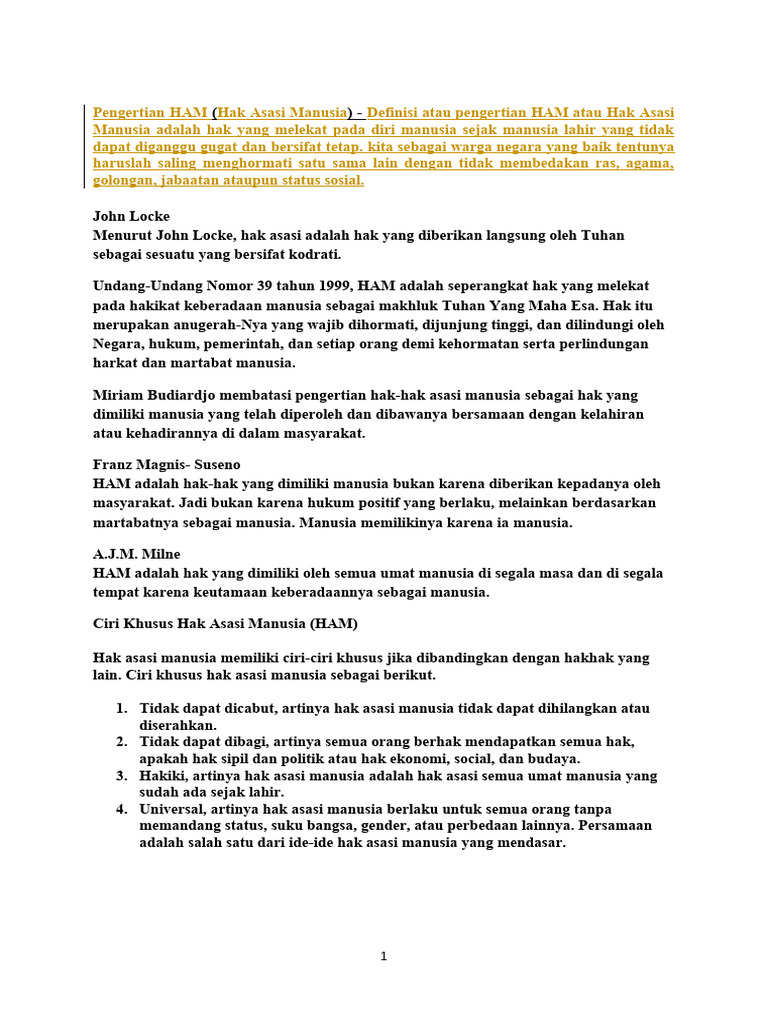 Pengertian HAM | PDF