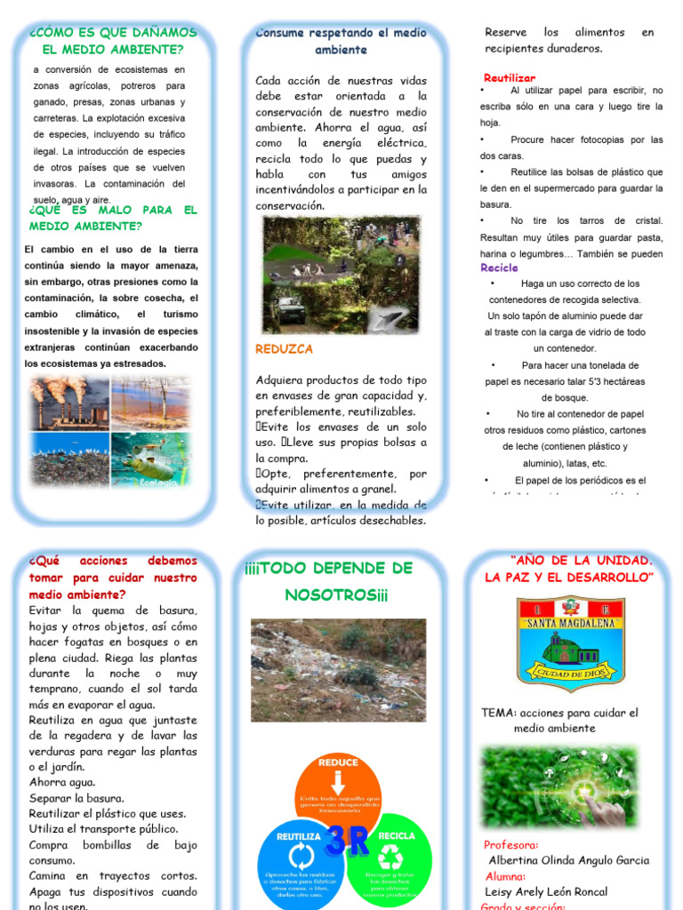 Triptico Conservacion Del Medio Ambiente | PDF