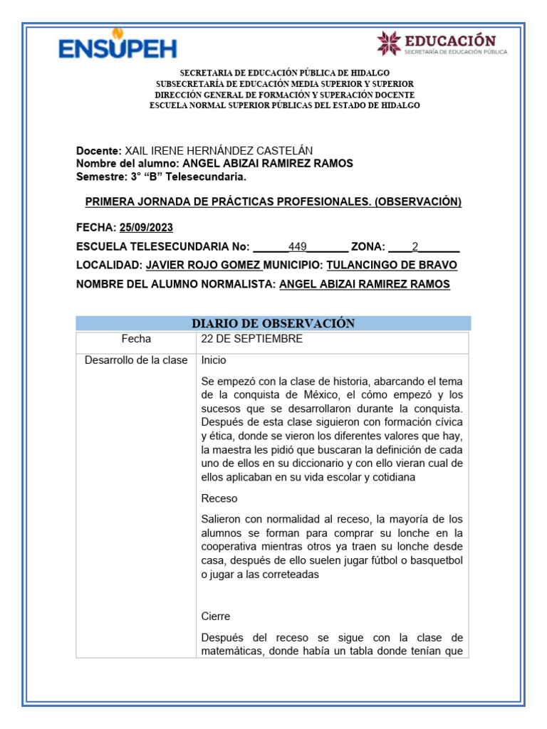Diario de Observación | PDF | Educación Secundaria