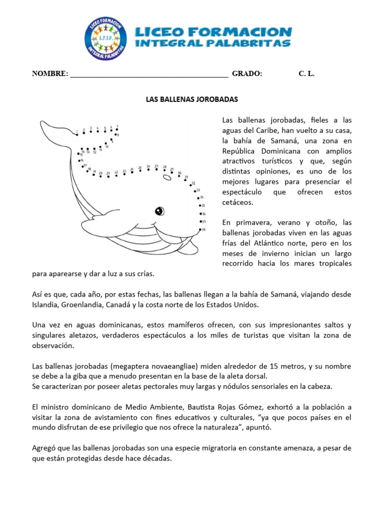 Comprensión Lectora Las Ballenas Jorobadas | PDF | Mamíferos marinos ...
