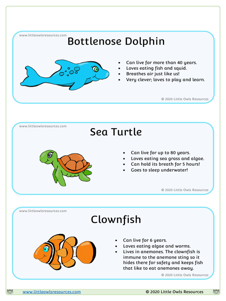 Fun Marine Facts for Kids | PDF