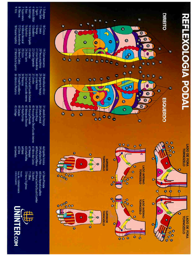Mapa Reflexologia Podal | PDF
