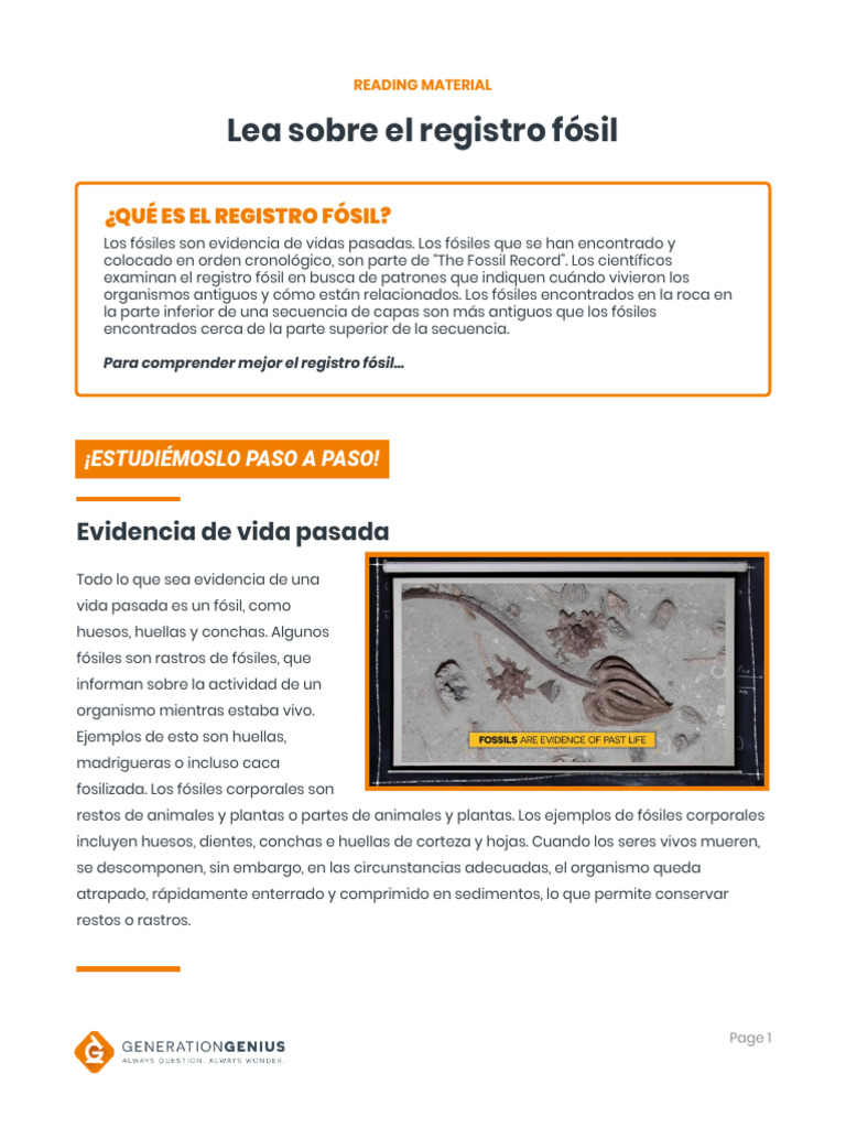 Comprendiendo el Registro Fósil | PDF | Fósil | Roca (geología)