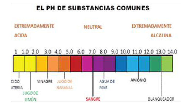 Escala de PH Sustancias Comunes | PDF