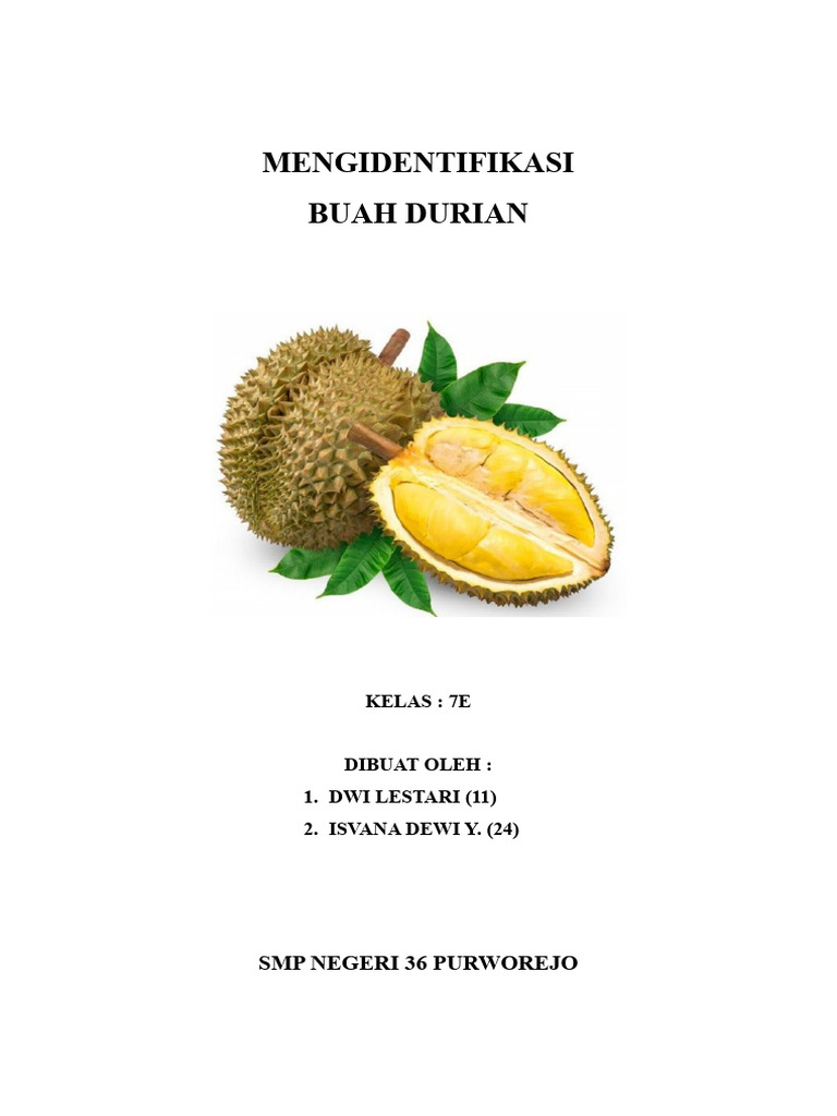 Mengidentifikasi Buah Durian | PDF