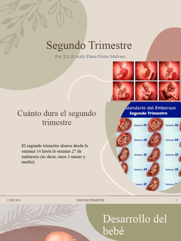 Segundo Trimestre | PDF