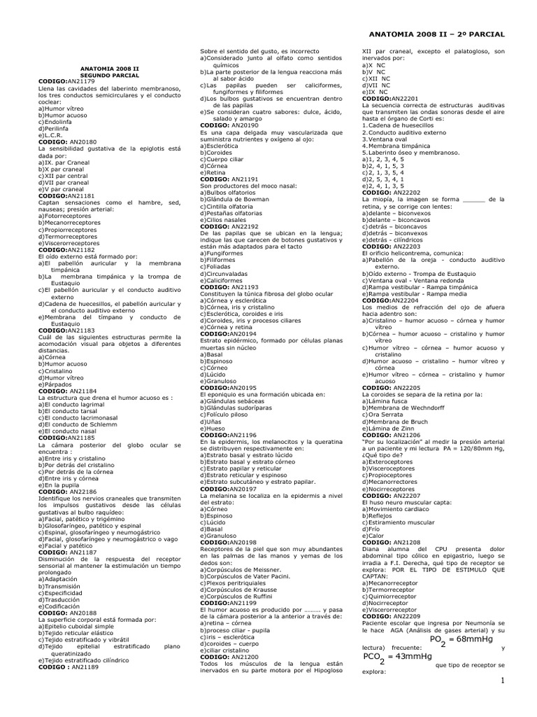 Preguntas de Anatomía para Segundo Parcial | PDF | Corazón | Vena